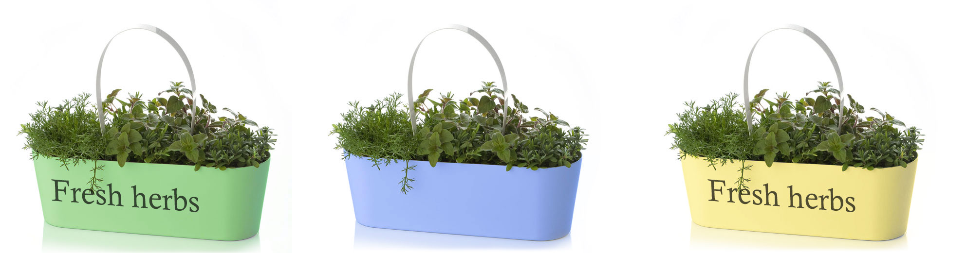 Zuyderhoudt Design & Engineering » Potpack